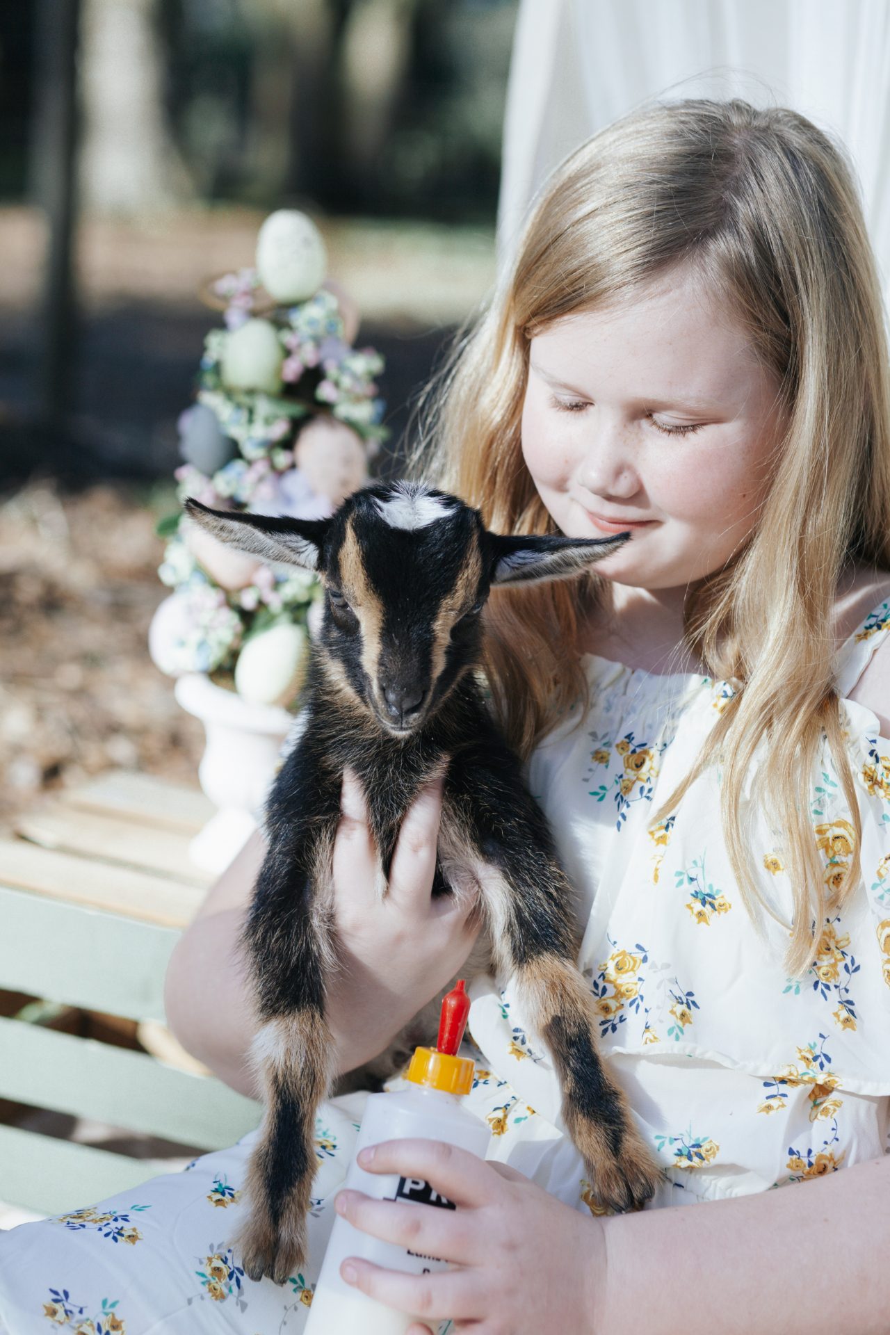 Farm Animal Photography Session | Bella's Little Farm