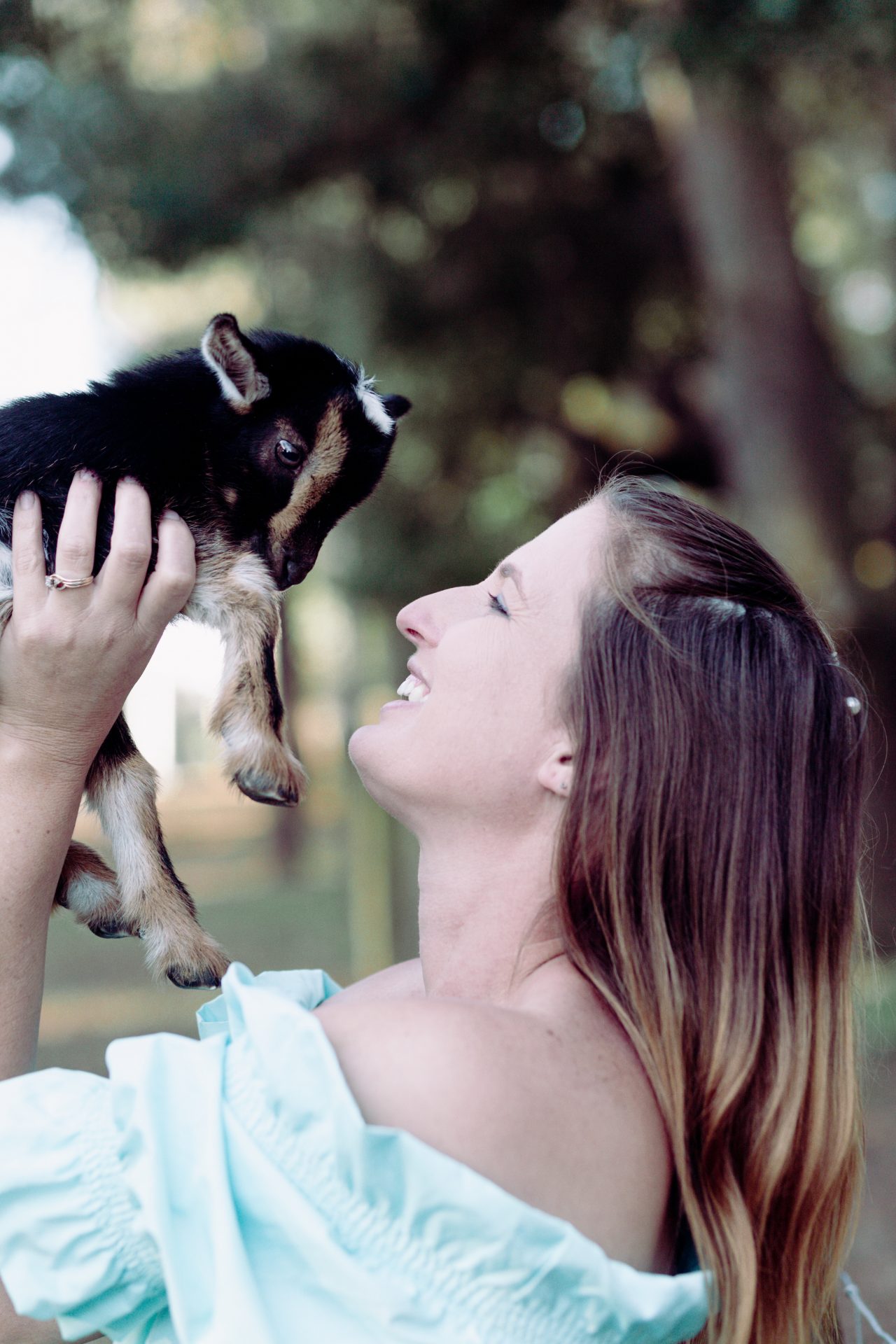 Animal-Gram | Bella's Little Farm